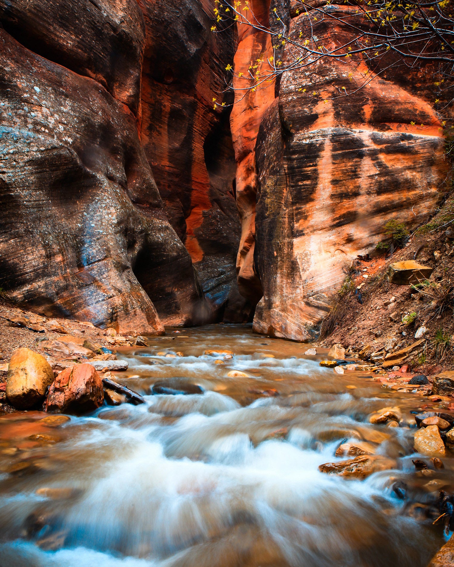 About Us – Primitive Wilderness Survival